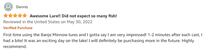 One Time Special - Banjo Minnow